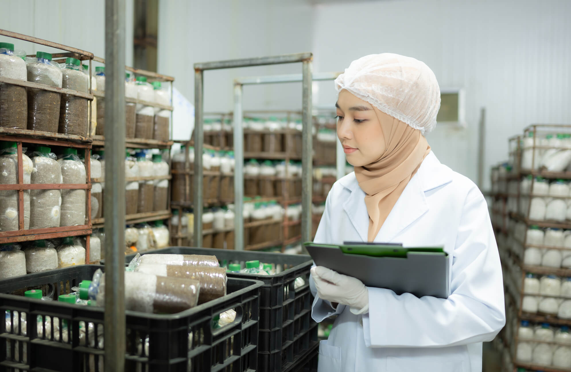 Manfaat Menjadi Penyelia Halal Bagi Karir - Pelatihan Halal